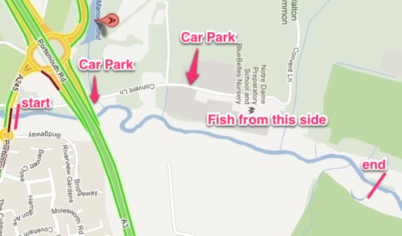 River Mole, Cobham – CALPAC
