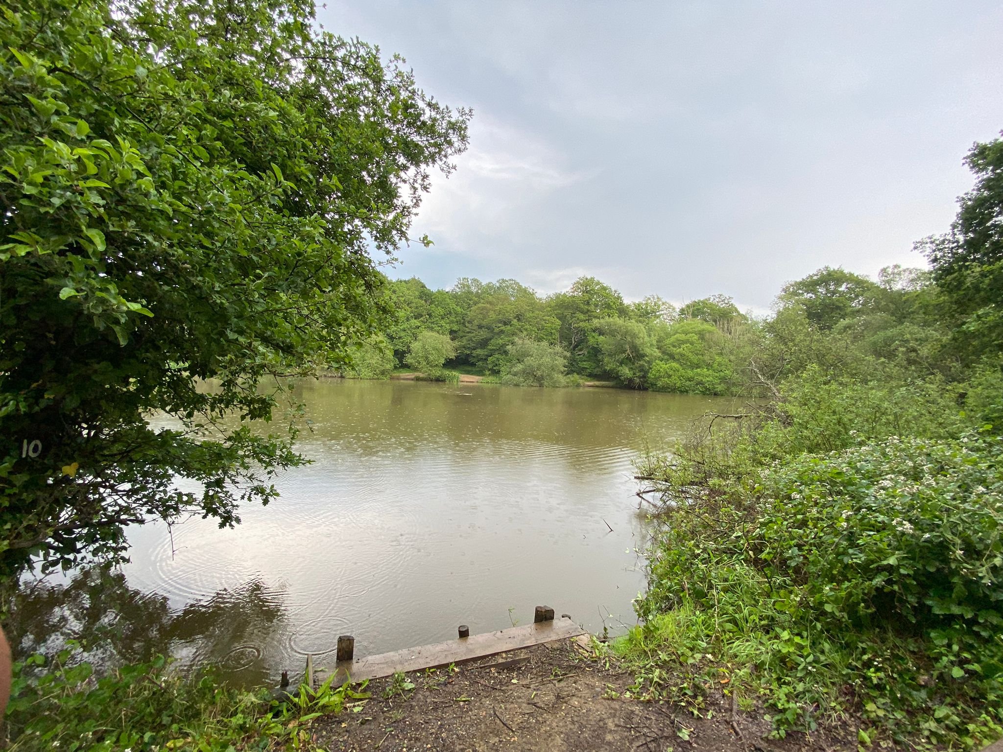 Stew Pond Work Party Sunday 11th June 2023 – CALPAC