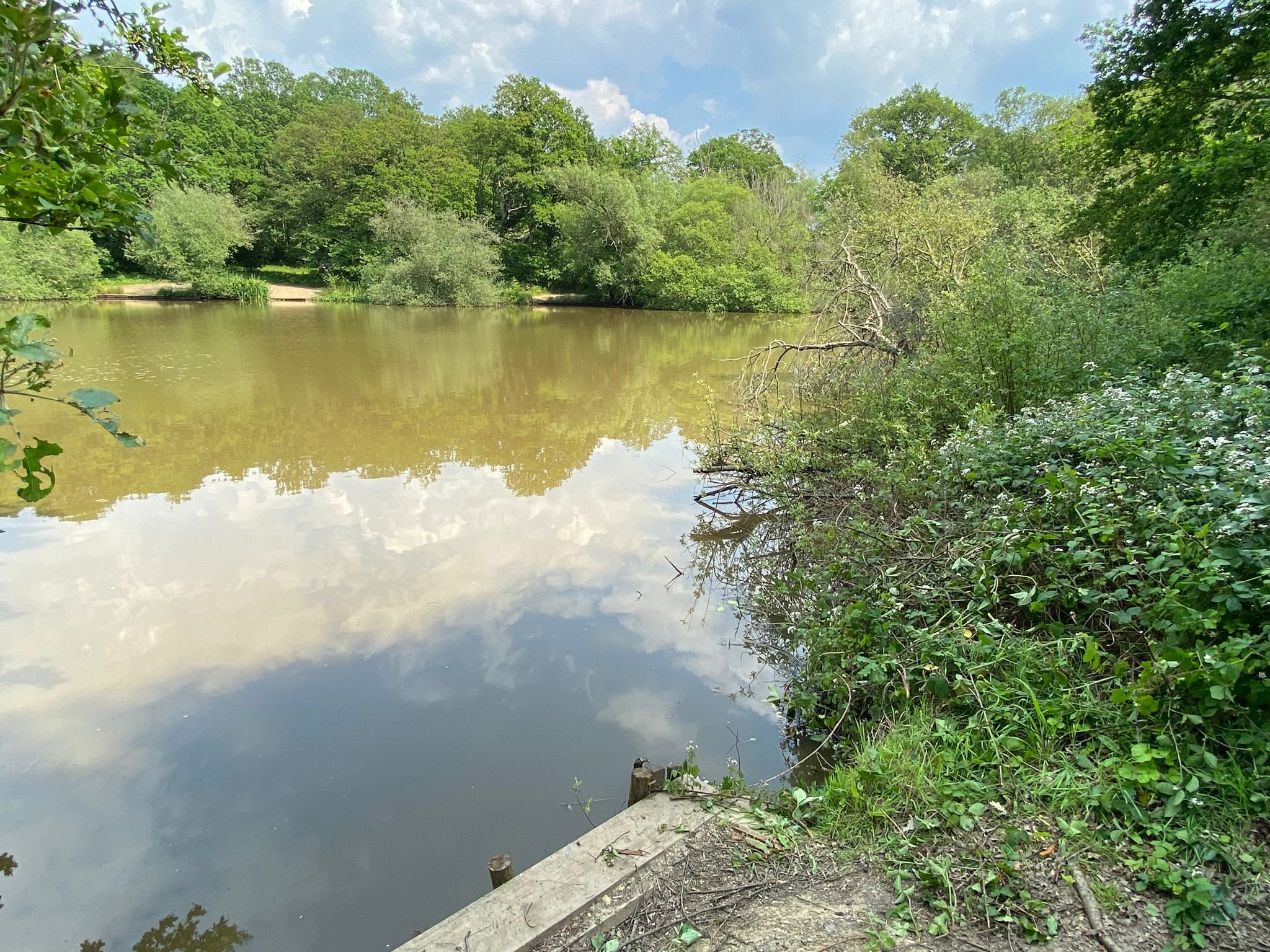 Stew Pond Work Party Sunday 11th June 2023 – CALPAC