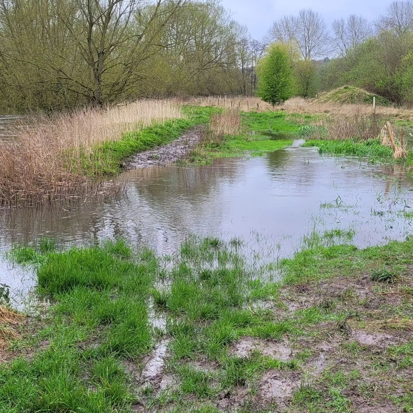 Padworth Work Party March 29th 2024 – CALPAC