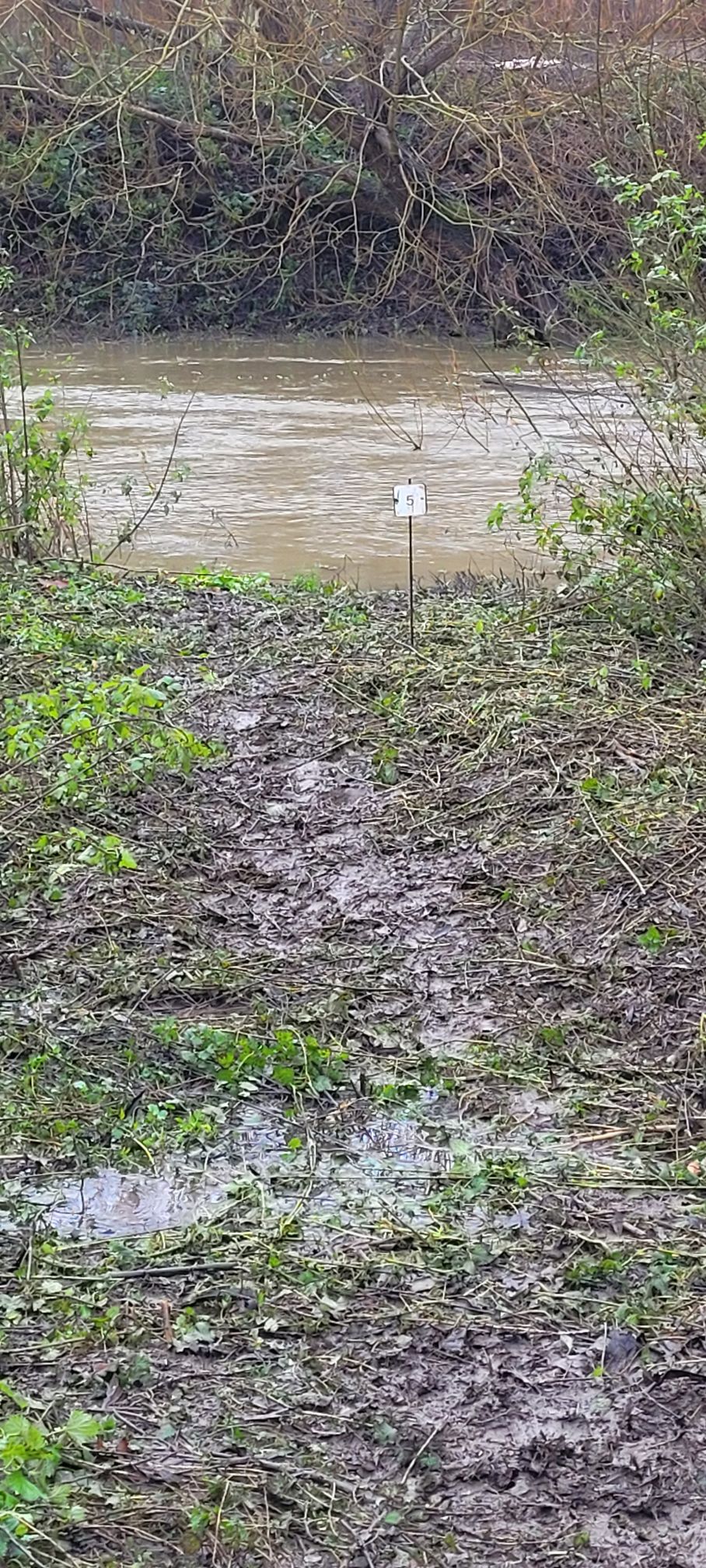 River Mole Pathway and Swim Cut December 2024 – CALPAC