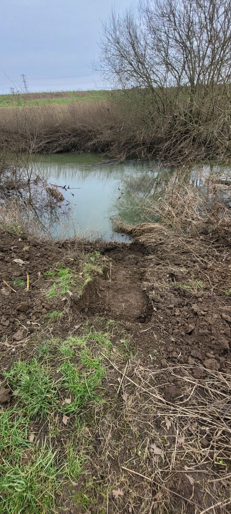 River Mole Swim Creation February 2025 – CALPAC