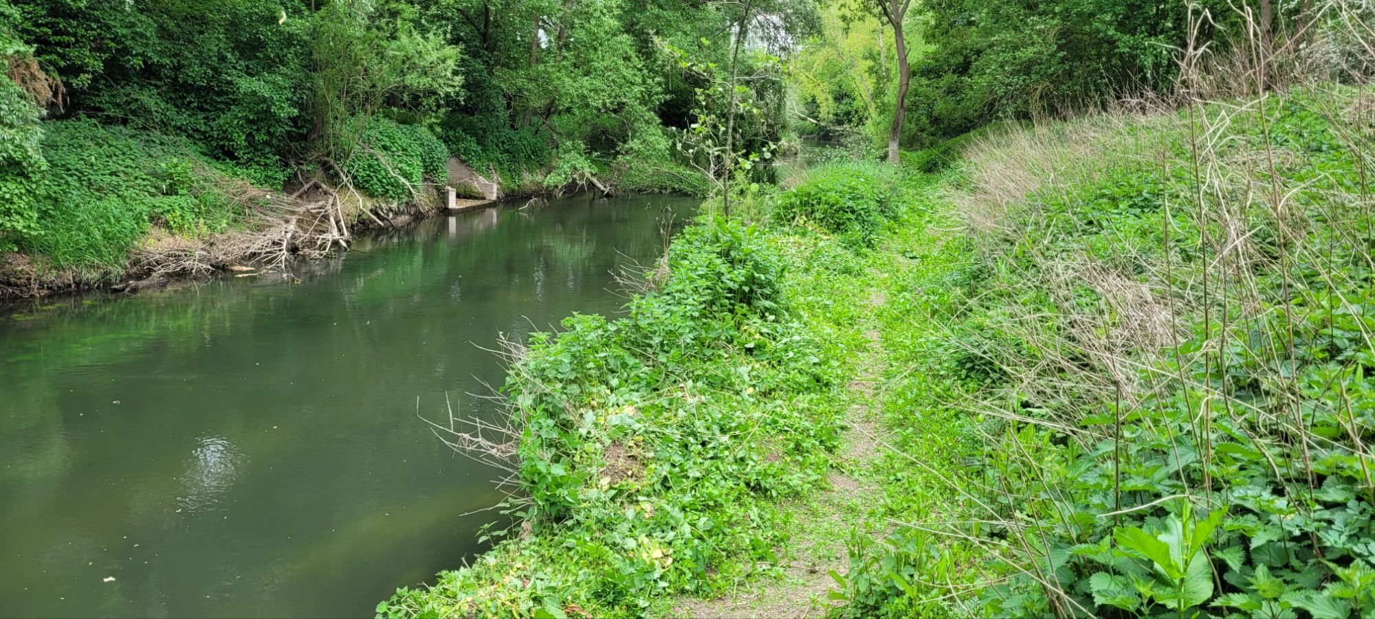 River Mole Fishery Cobham Monday 5th May 2025 – CALPAC